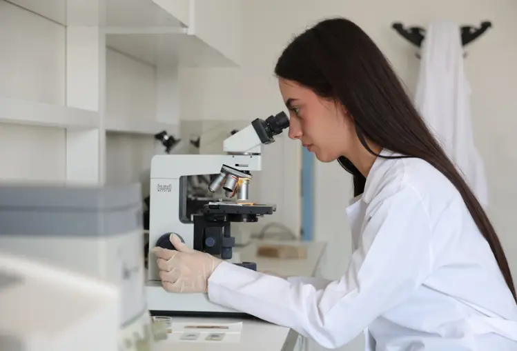 Bachelor Programmes - AUT